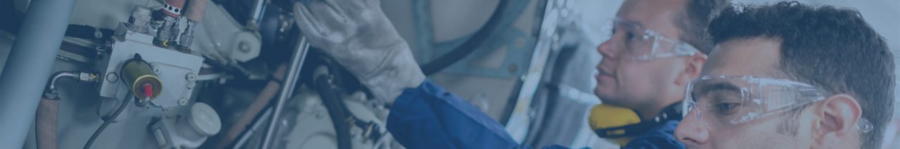 PM Optimization - Asset Analytix